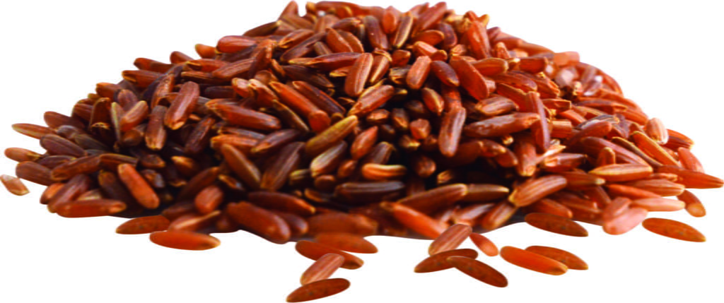 RIZ JASMIN ROUGE COMPLET VRAC 5kg - Ethiquable